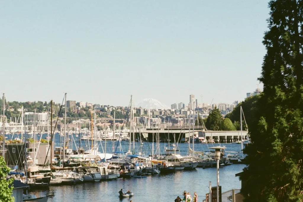 Marina vs Harbor: Key Differences, Uses, and Which to Choose